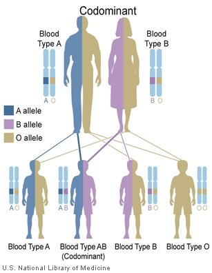 Inheritance | Online Genetic Counselling